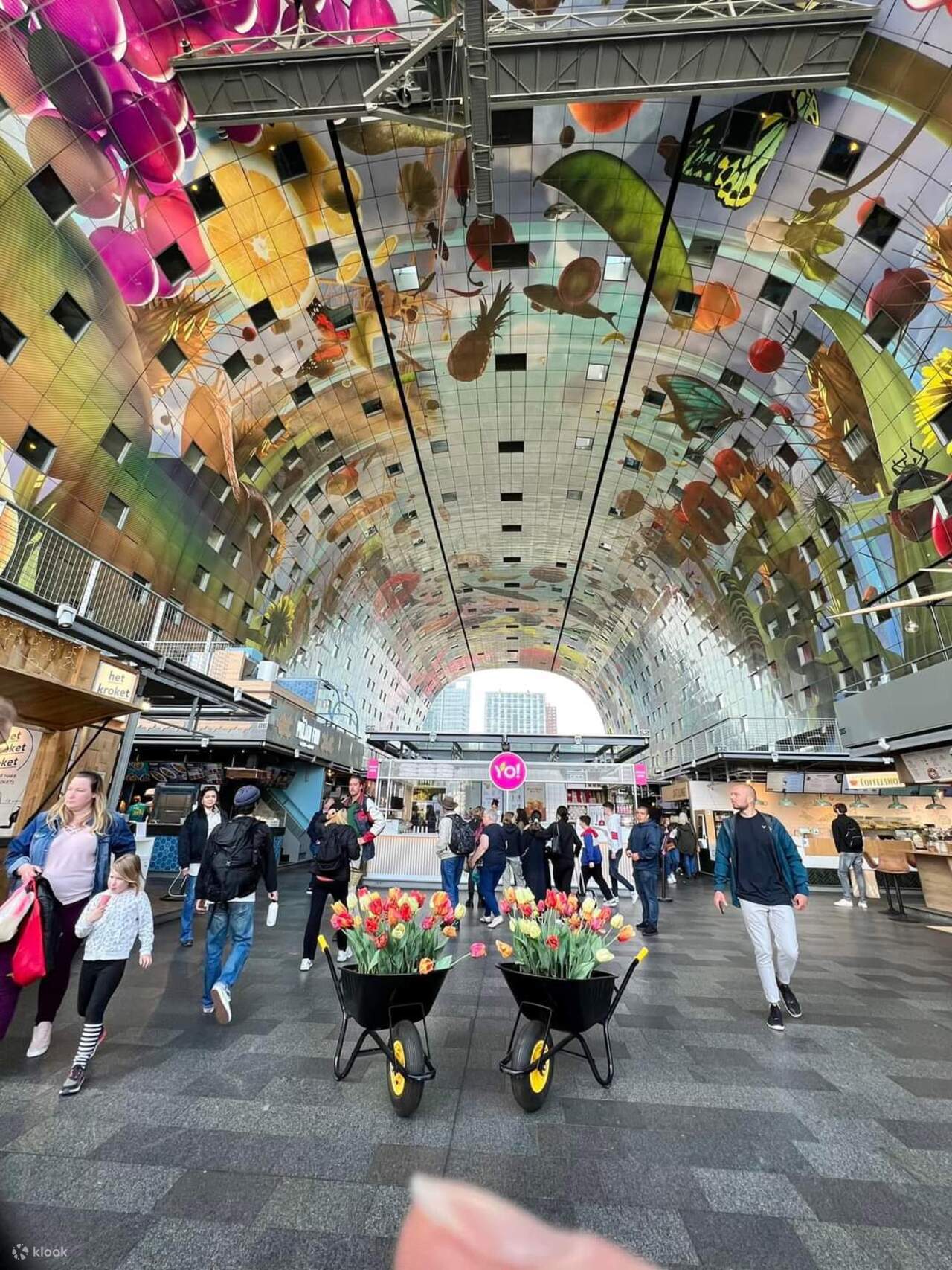 Rotterdam: Private Tour with Local guide - Klook