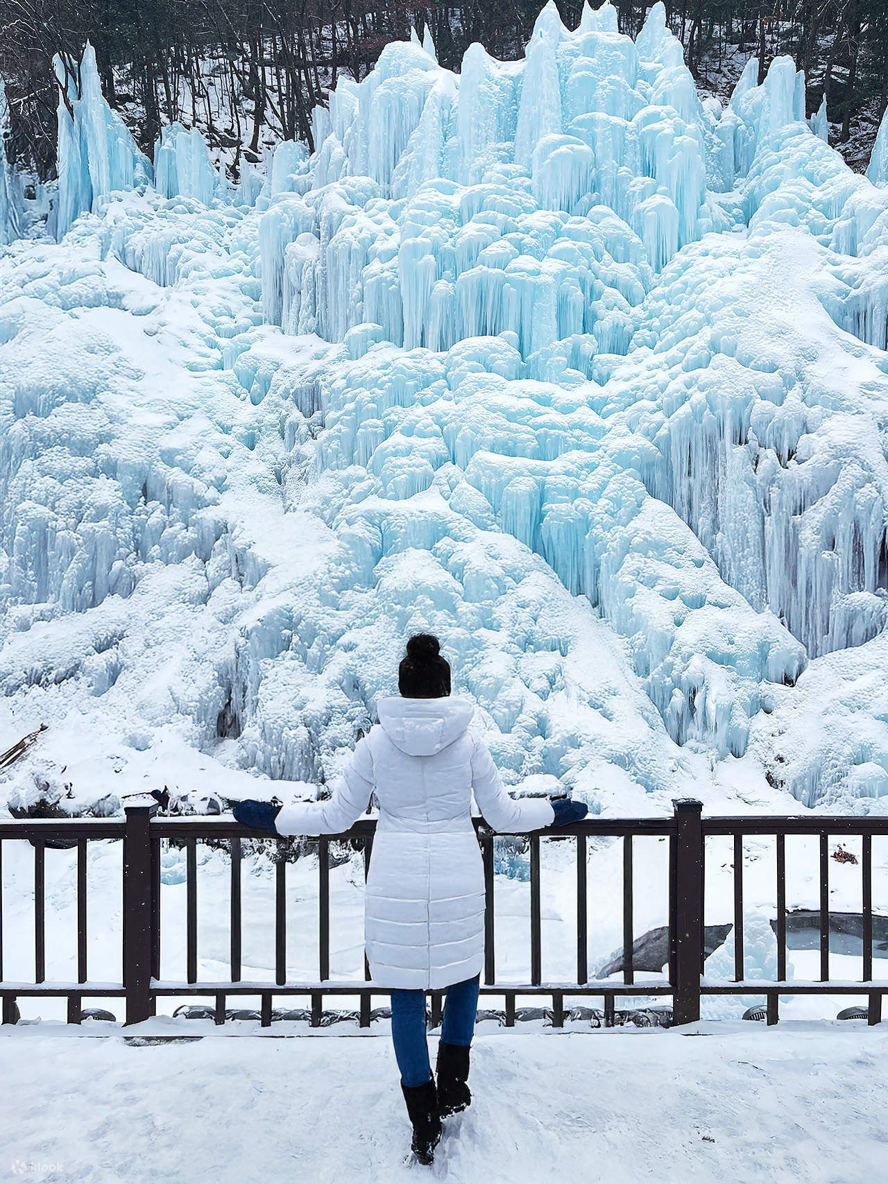 Seoul Winter Highlights: Vivaldi Ski & Frozen Eobi Ice Valley Tour ...