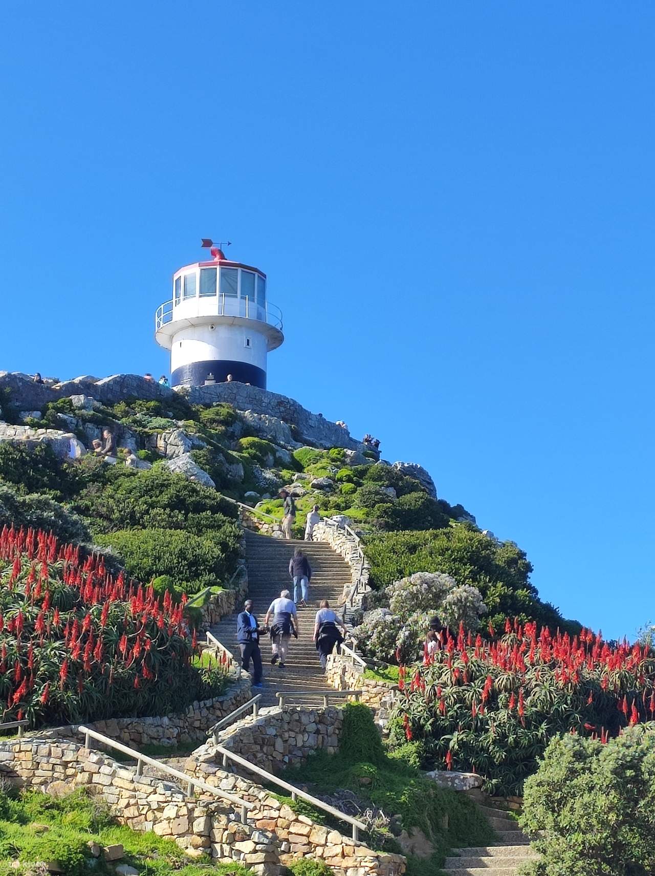 Table Mountain, Cape of Good Hope & Penguins Private Day Tour - Klook