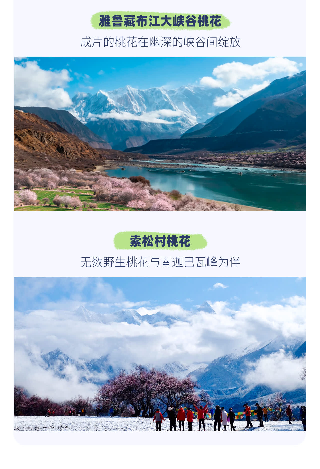 8-Day Tour of Tibet and Beautiful Nyingchi (Nyingchi Peach Blossom ...