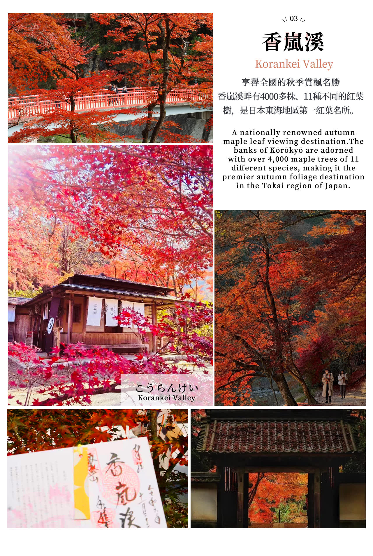 Must-See Autumn Foliage Spots in Nagoya, Japan | Tiger Valley Mountain ...