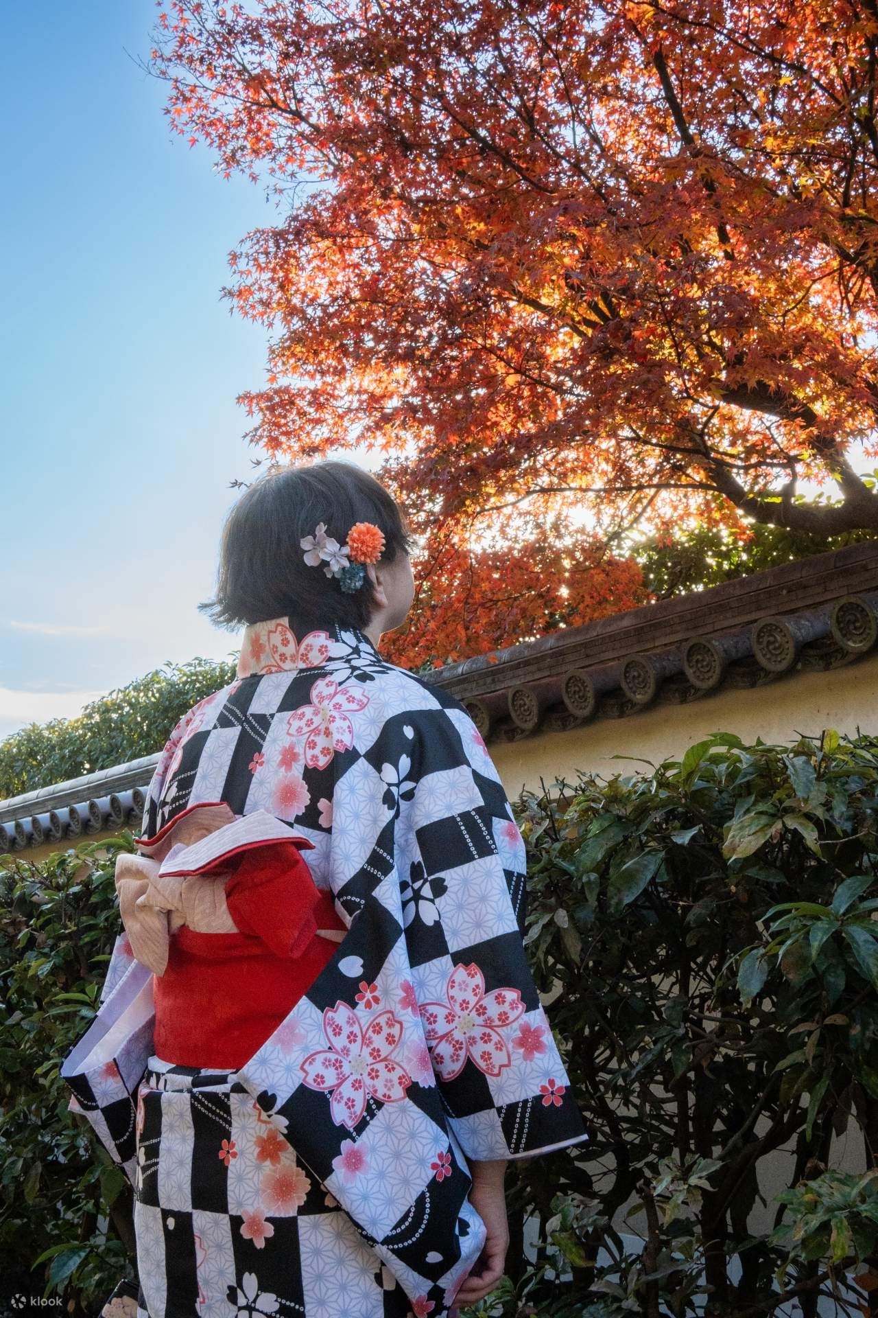 Enjoy plus size kimono rental in Asakusa Tokyo - Klook