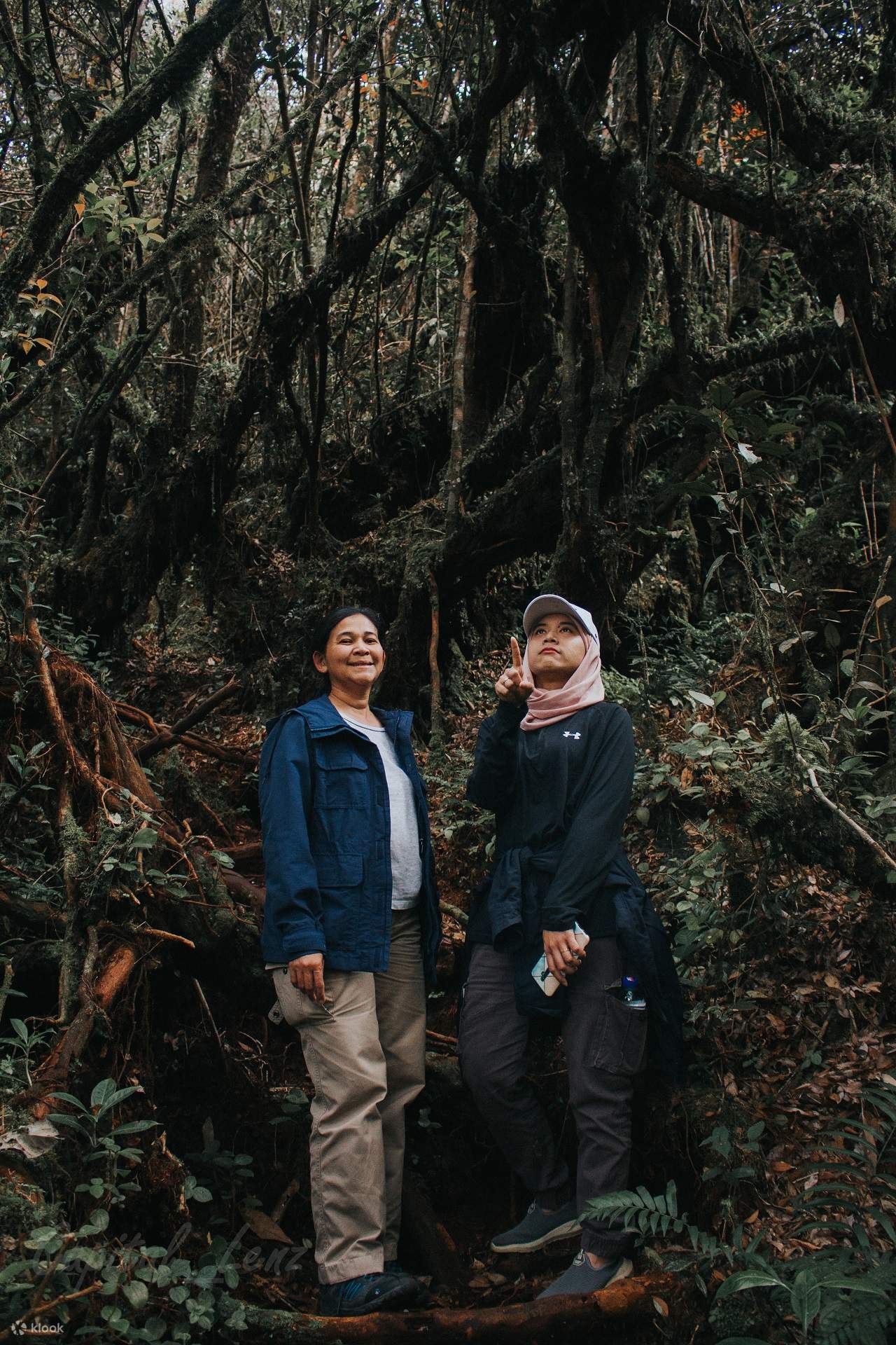 The Enchanted Trail of Coral Hill - Klook Singapore
