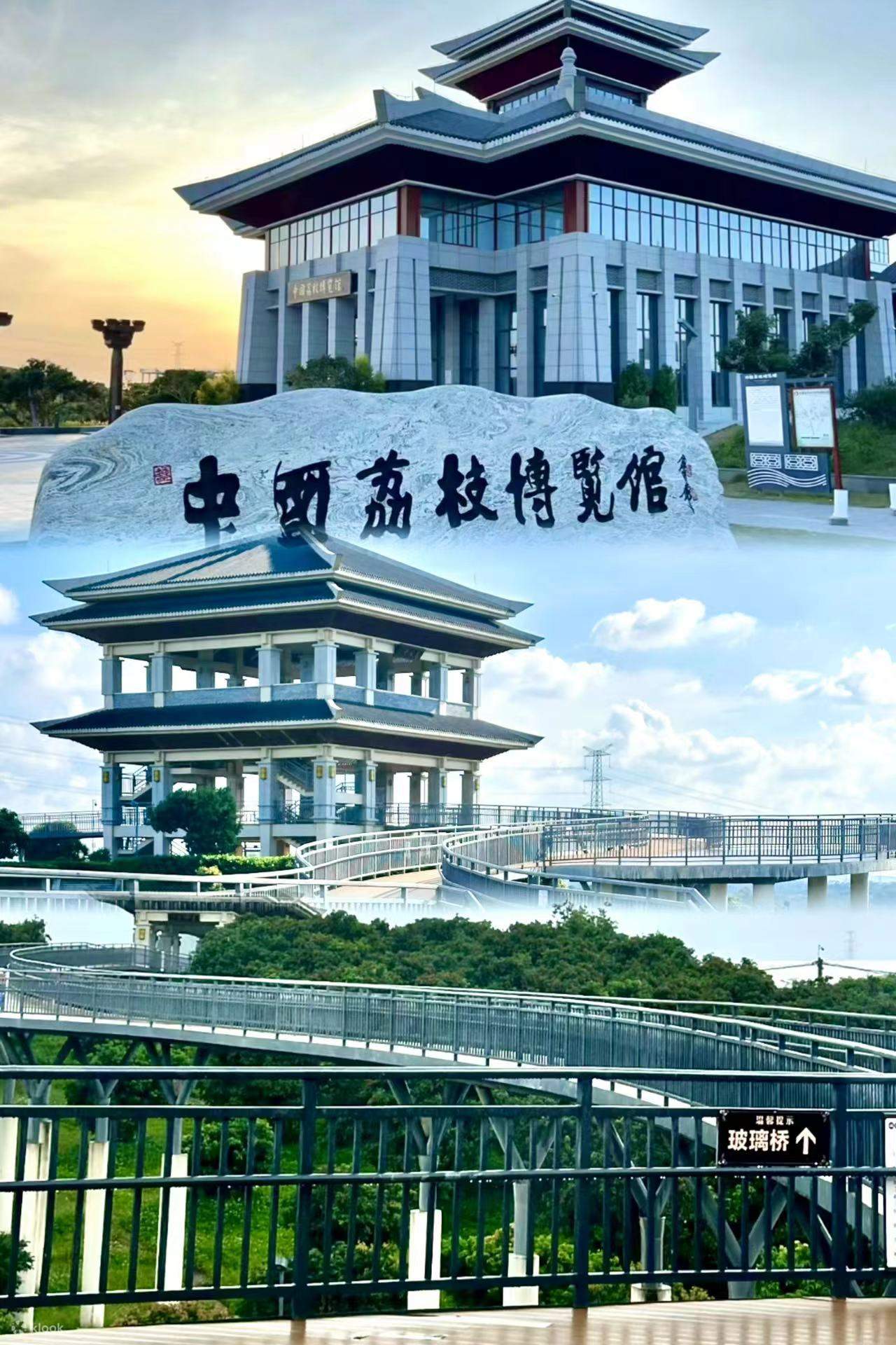 Zhanjiang | 2 nights in a five-star hotel + "Zhanjiang Abalone Seafood ...