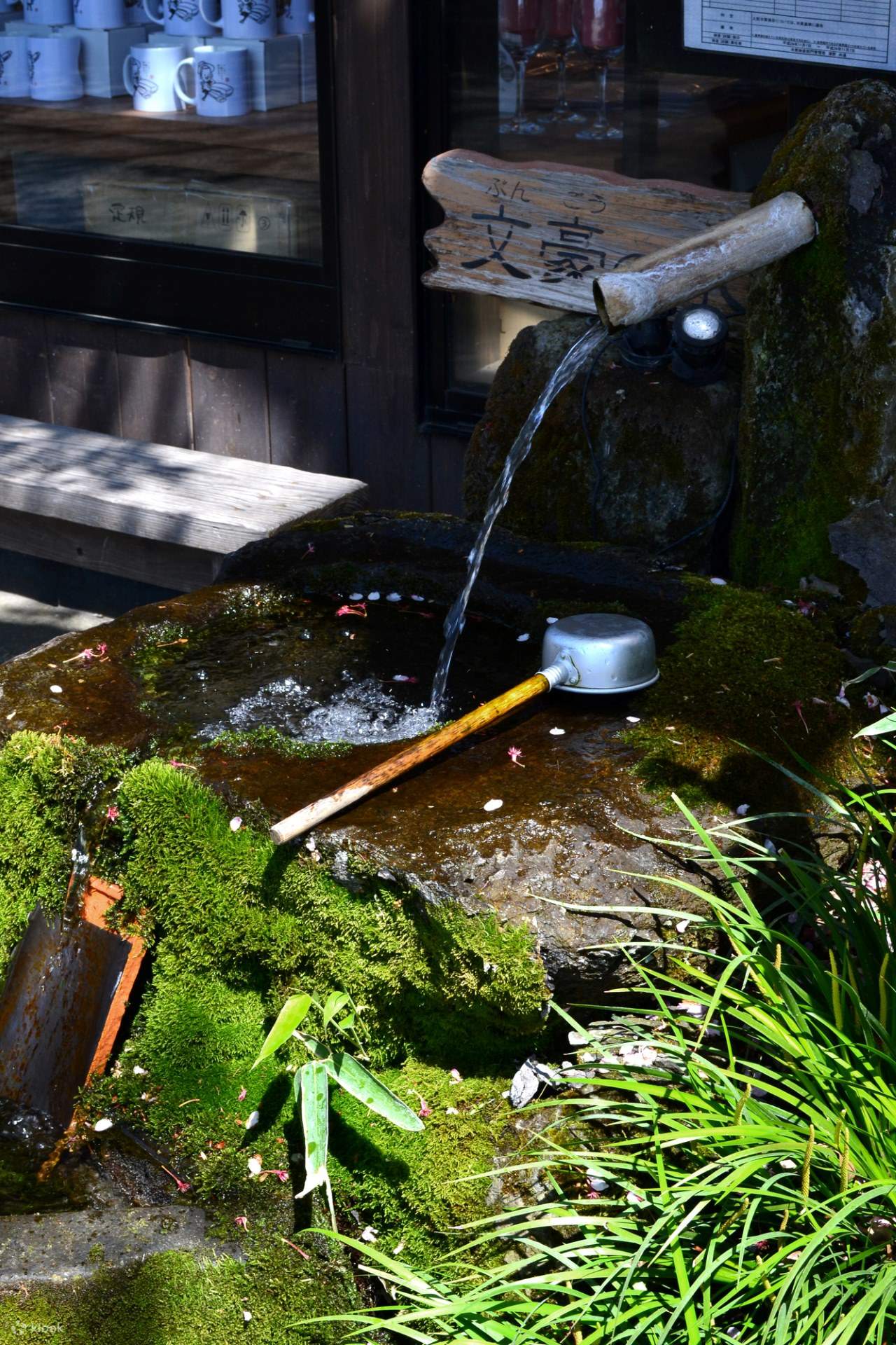 Aso Shrine & Monzen Town Water Base Tour & Godly Body Aso Summit ...