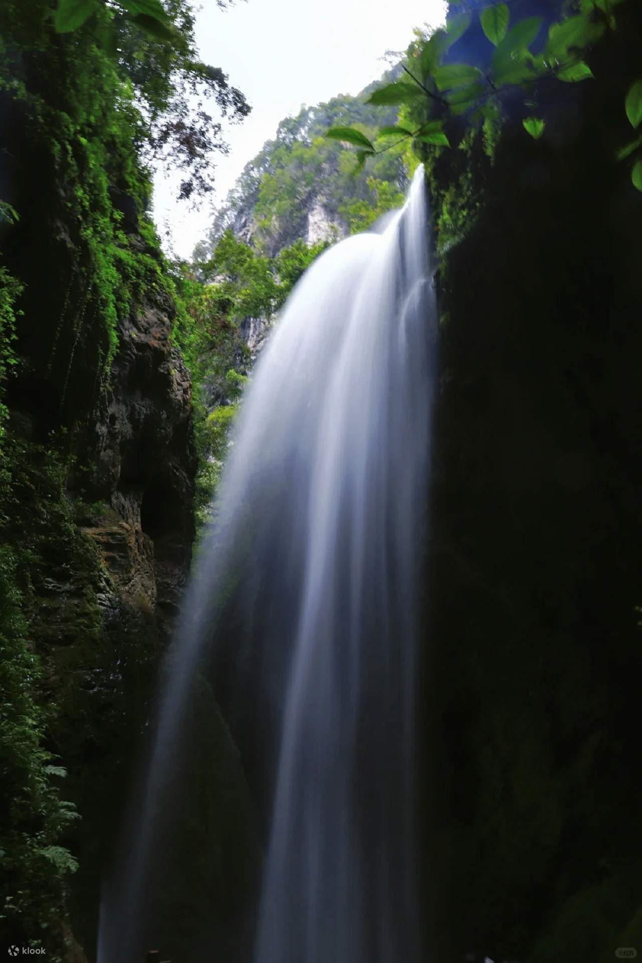 Chongqing Wulong High-end Private Group 1-Day Tour (Wuling Three ...