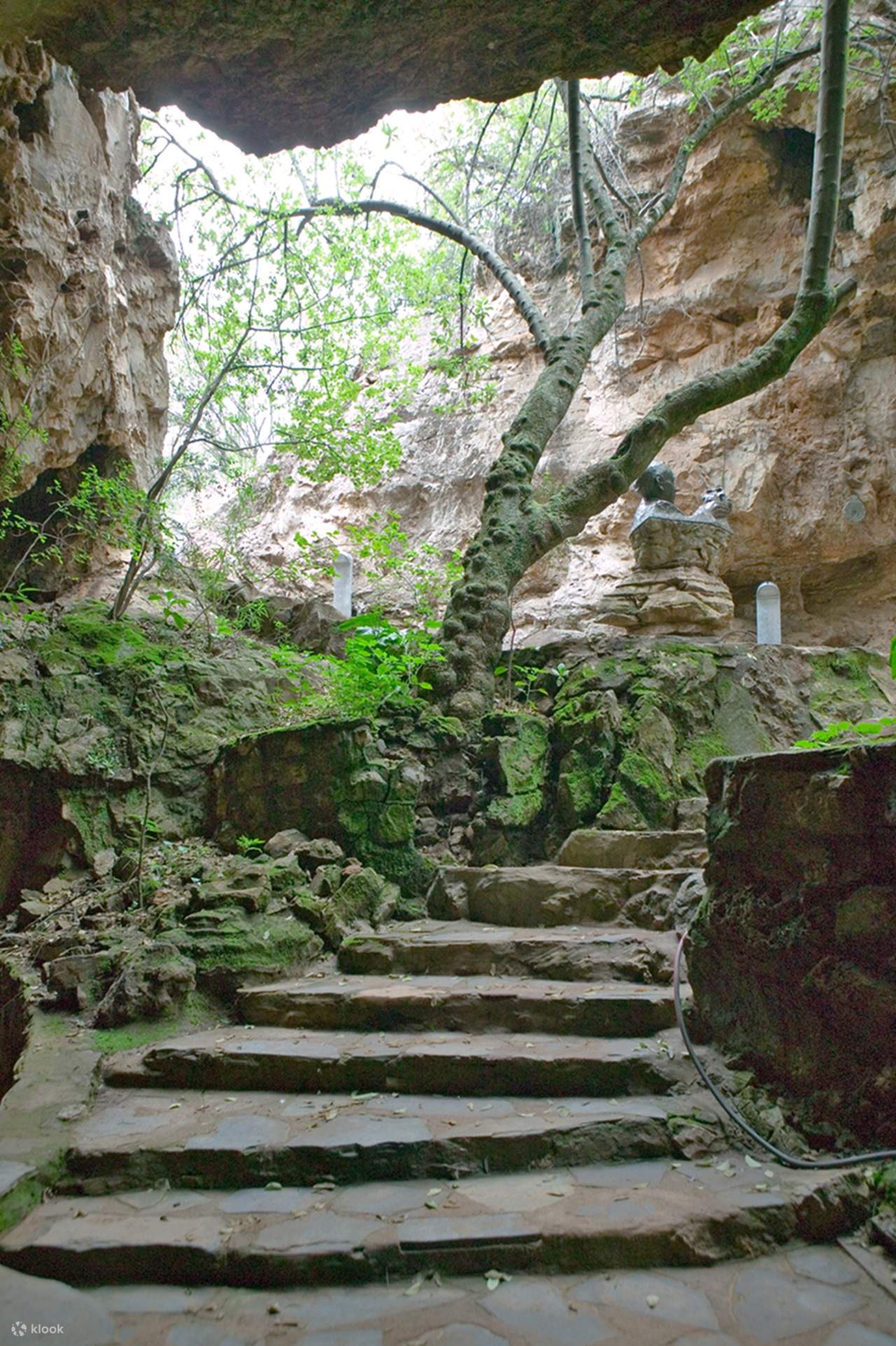 Private Day Trip to Cradle of Humankind, Lion Park & Lesedi Village - Klook India