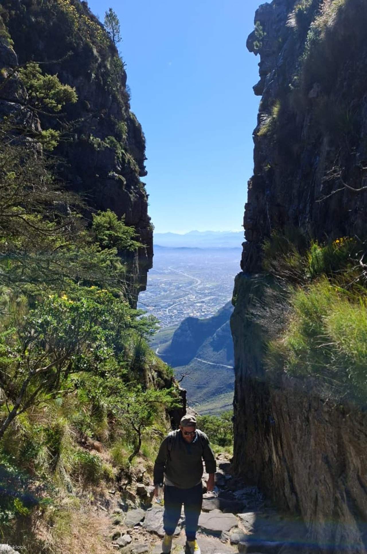 Hike Table Mountain Cape Town - Klook Australia