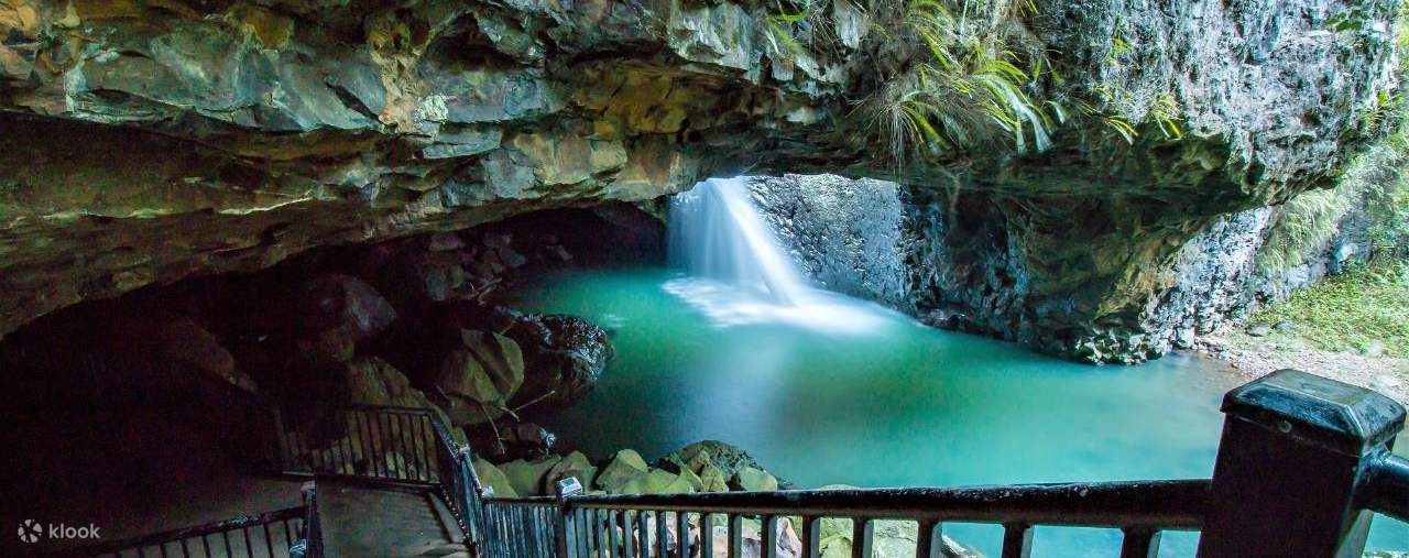 Springbrook National Park Day Tour from Brisbane - Klook United Kingdom