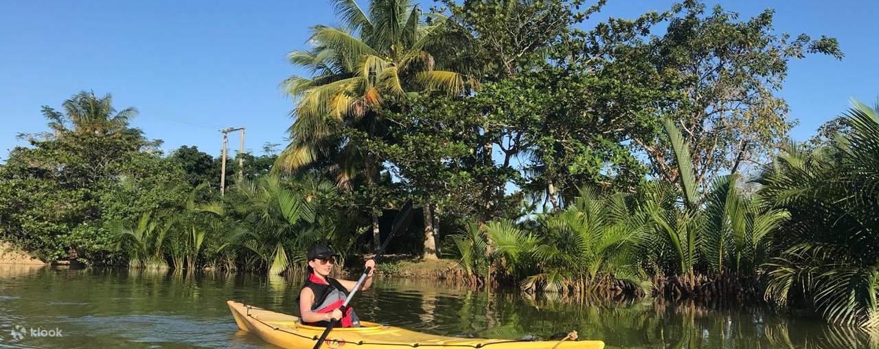 Coco Palm Forest to a Craft Village Tour with Kayaking Experience in ...
