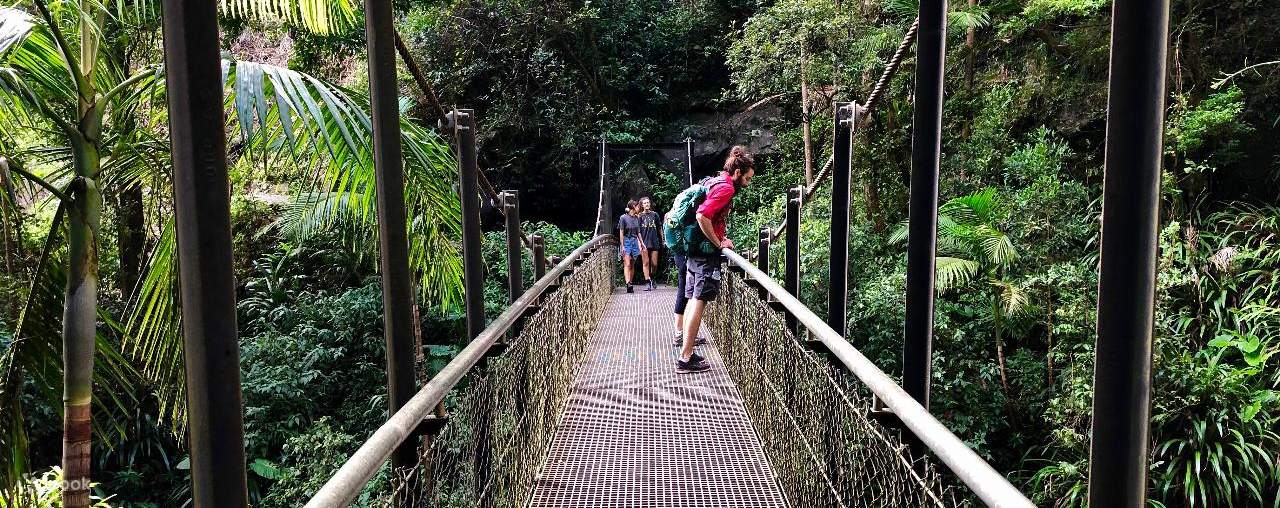 Springbrook National Park Day Tour from Brisbane - Klook United Kingdom
