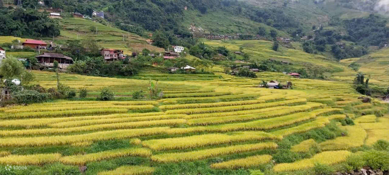 Y Linh Ho - Lao Chai - Ta Van Villa Trekking Day Tour - Klook