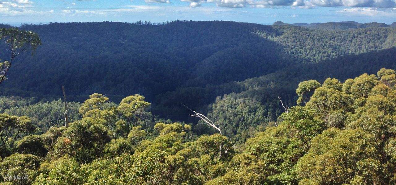 Explore Spring Brook National Park on a Self Guided Driving Tour ...