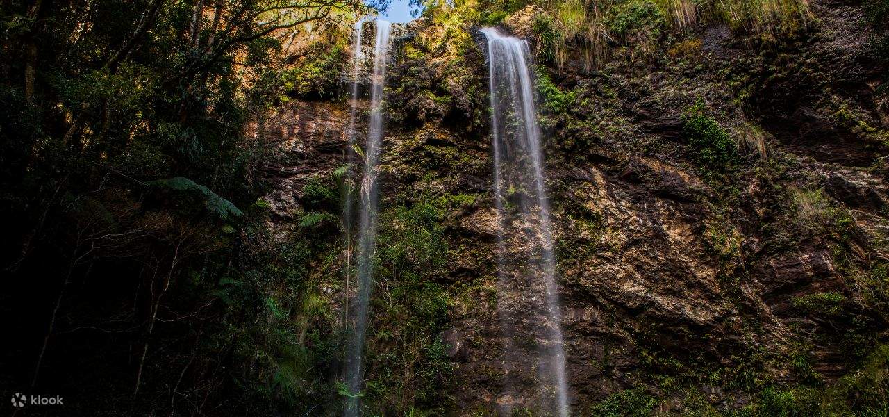 Explore Spring Brook National Park on a Self Guided Driving Tour - Klook