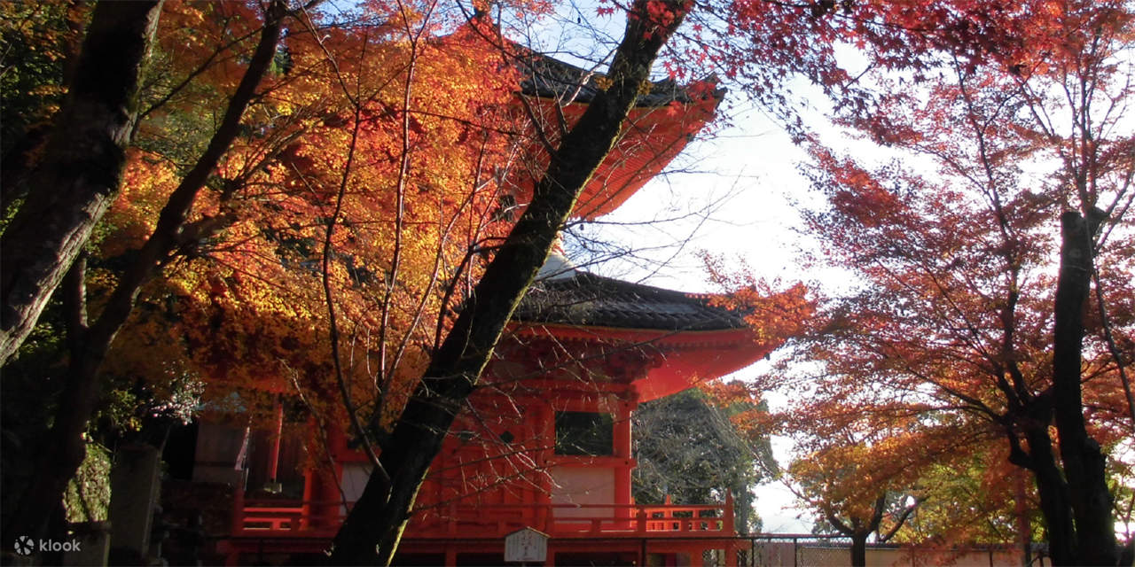 Wakayama Castle, Kisii Temple, Kuroshio Market, Kishi Station Cat ...
