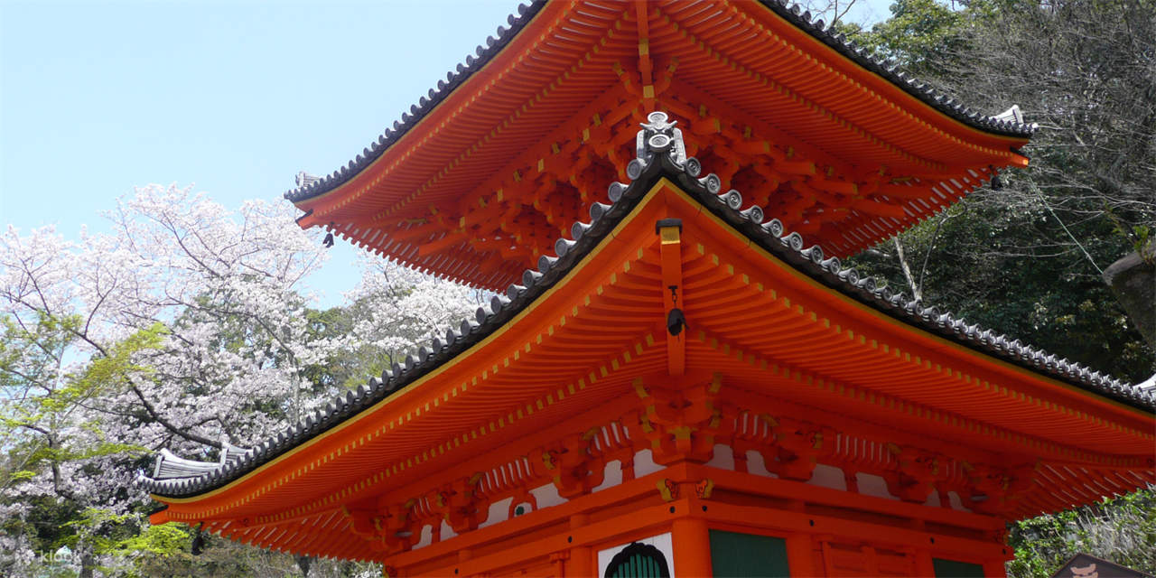 Wakayama Castle, Kisii Temple, Kuroshio Market, Kishi Station Cat ...
