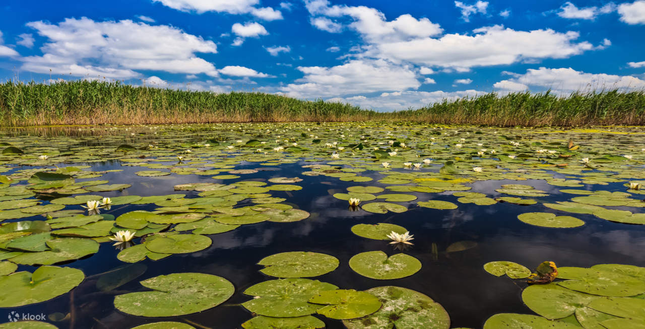 WISATA PREMIUM dari Bucharest ke Delta Donau (6 ORANG) - Klook Indonesia