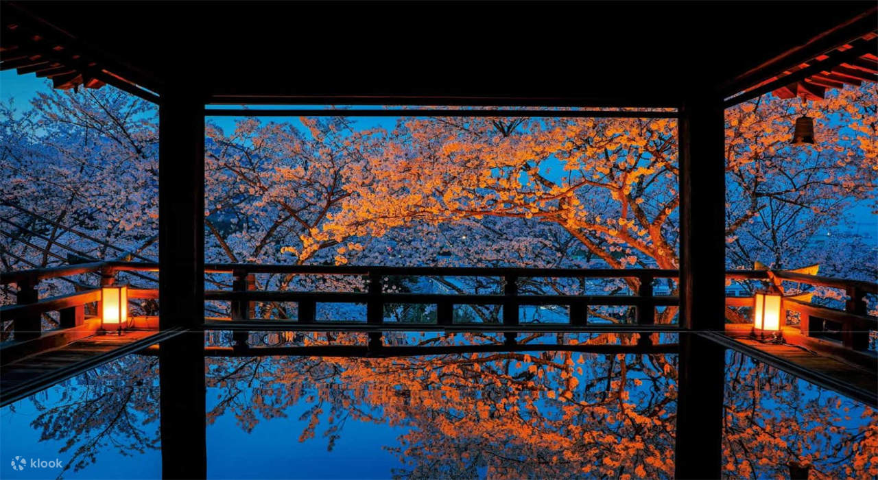 Tur sehari menikmati keindahan Museum Miho & Sakura malam di Kuil Mii ...