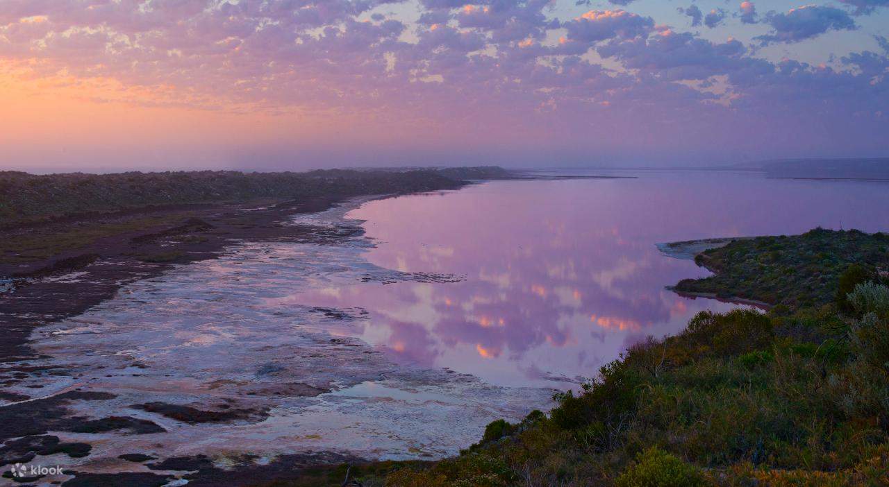 Pink Lake 4x4 Buggy Tour in Geraldton Tour - Klook Canada