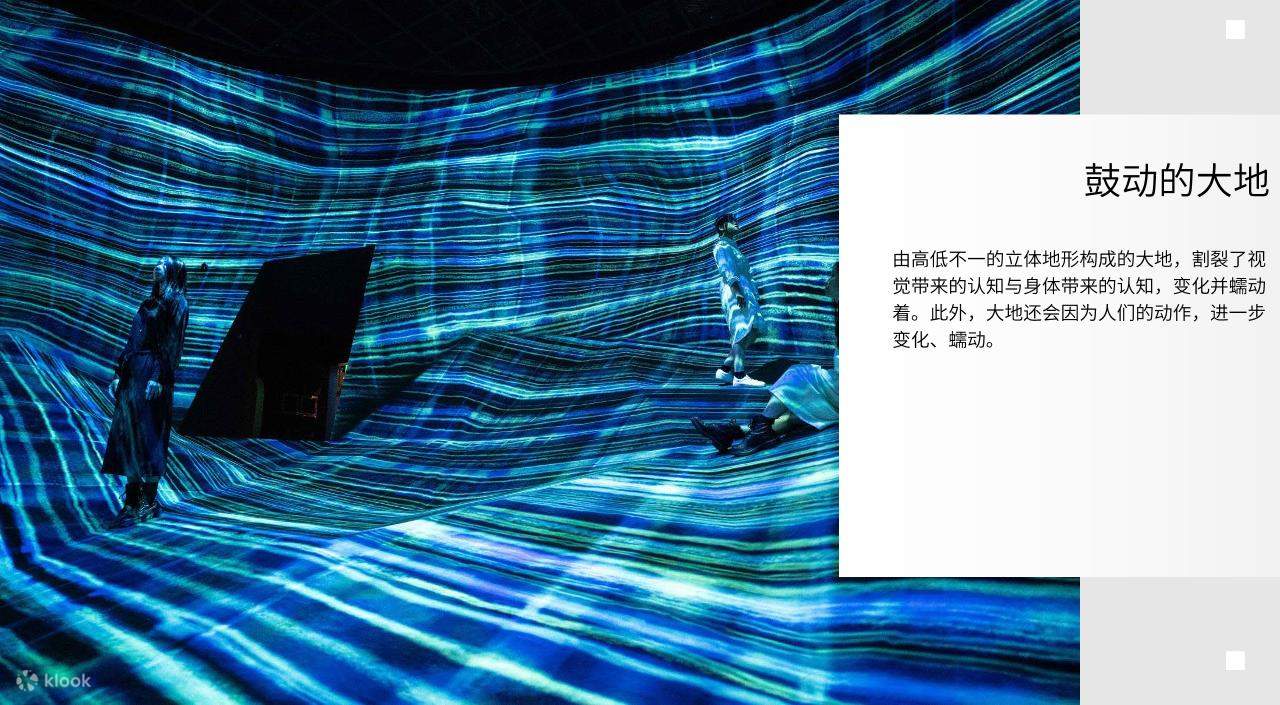 Shenzhen Teamlab co-creation! future exhibition - Klook United States
