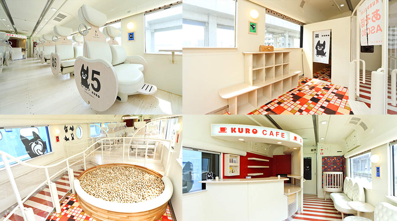 Kyushu | Kumamoto Castle & Kusasenri & Mount Aso Crater & Aso Boy Sightseeing Train | Departure ...