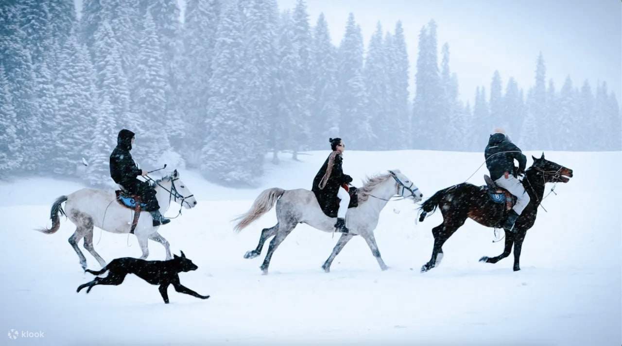 Xinjiang Ili Fun Explore Nomadic Winter Camp + Pasture Horseback Riding ...