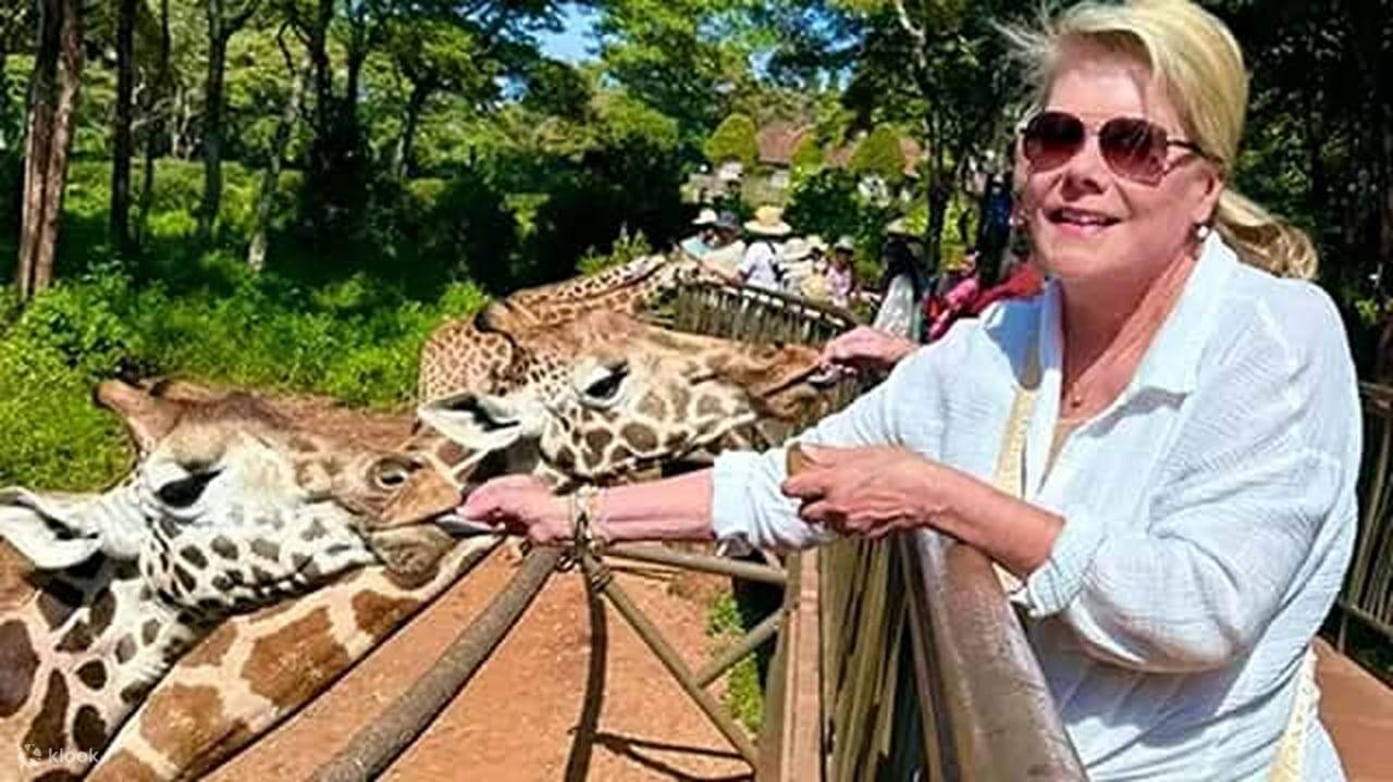 Mombasa: Guided Nature Walk Amongst Giraffes - Klook