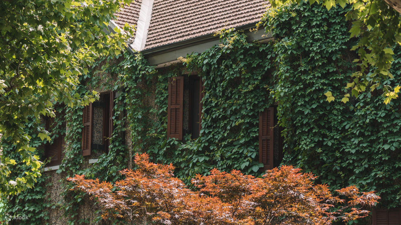 8-hour round trip chartered car from Shanghai to Wuzhen - Klook