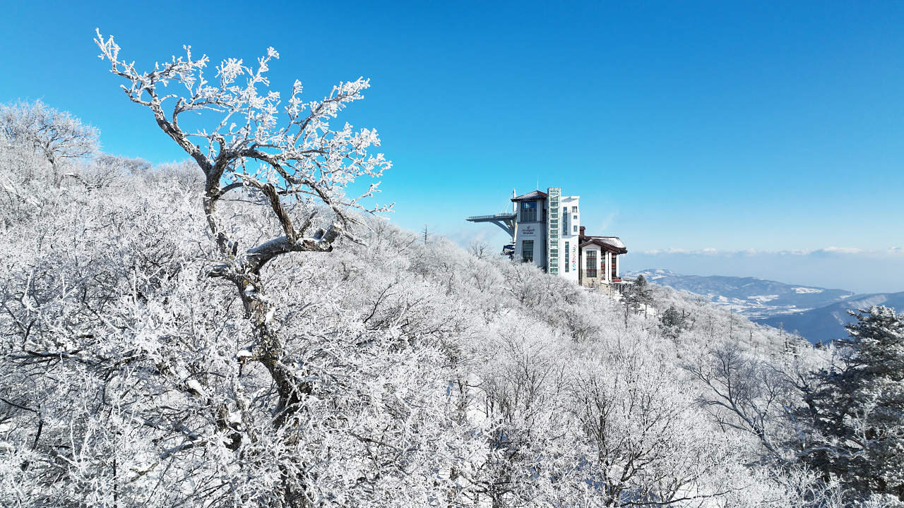 Balwangsan Cable Car & Samyang Ranch One Day Tour from Seoul - Klook ...