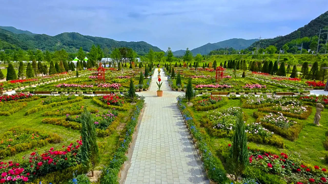 Pocheon Day Tour: Y Suspension Bridge, Art Valley & Herb Island - Klook ...