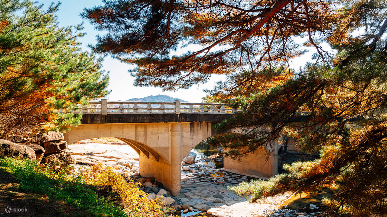 Busan: Ice Valley Cable Car & UNESCO Nature Discovery Tour - Klook ...