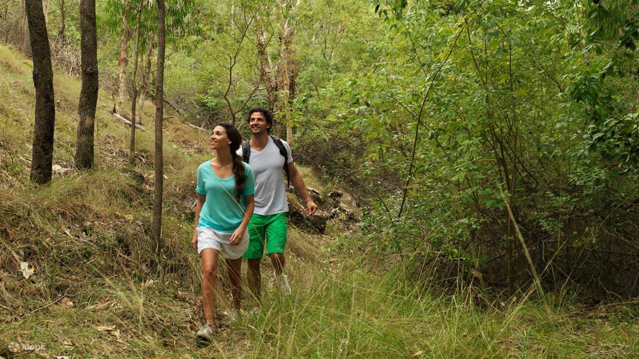 Hamilton Island Nature Adventure in Whitsunday Island, Australia - Klook