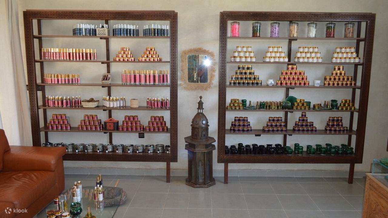 Da Marrakech: gita di un giorno alla valle dell'Ourika sui monti Atlas ...