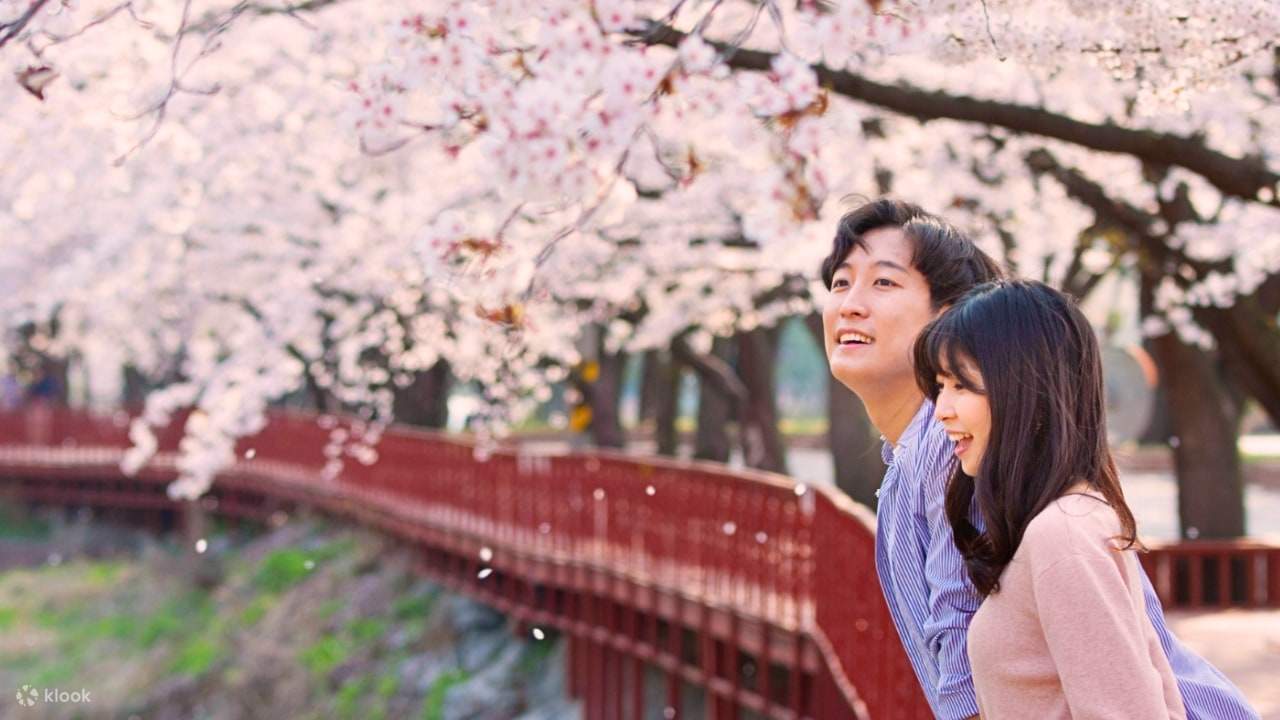 Eden Cherry Blossom Road x AQUAFIELD Jjimjilbang x Begonia Bird Park - Klook Malaysia