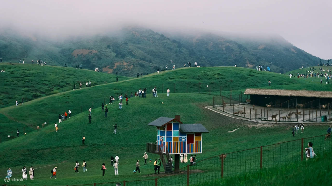 2-Day Tour in Chenzhou, Hunan (8-person group + Dongjiang Lake ...