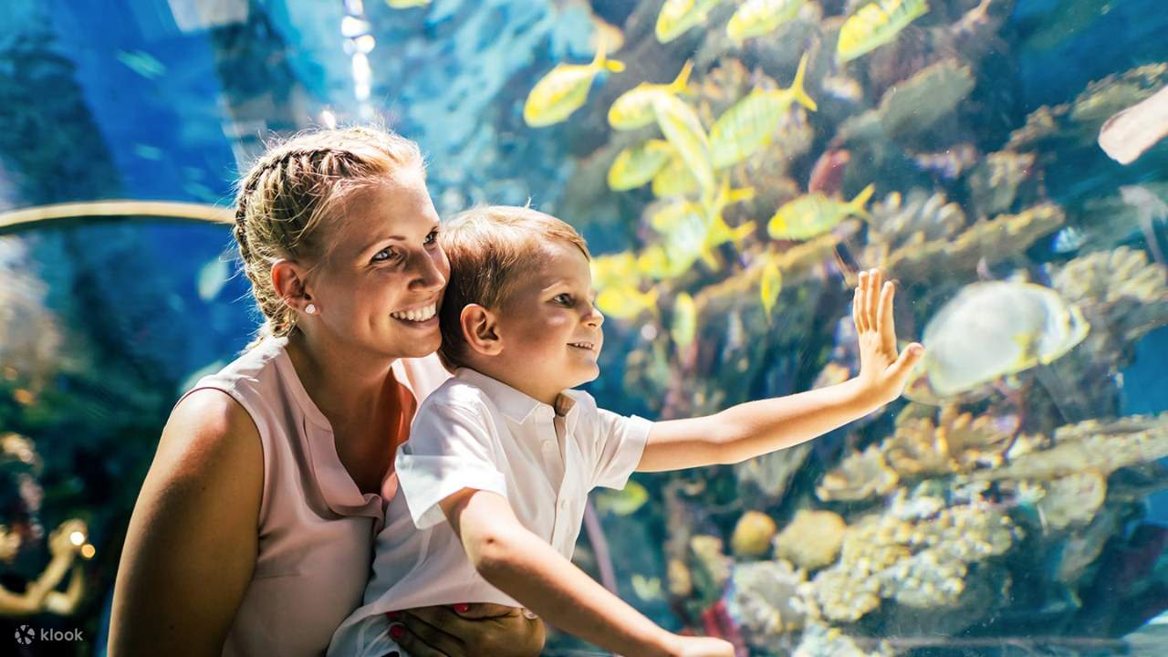 Safari World Tour in Bangkok with Round-Trip Hotel Transfer - Klook