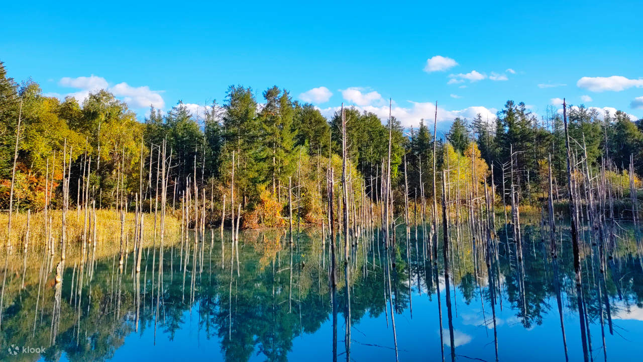 Sapporo Car Rental with Driver to Jozankei/Otaru/Lake Toya/Lake ...