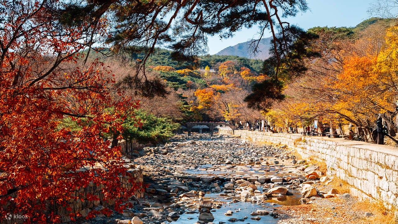 Busan: Ice Valley Cable Car & UNESCO Nature Discovery Tour - Klook ...