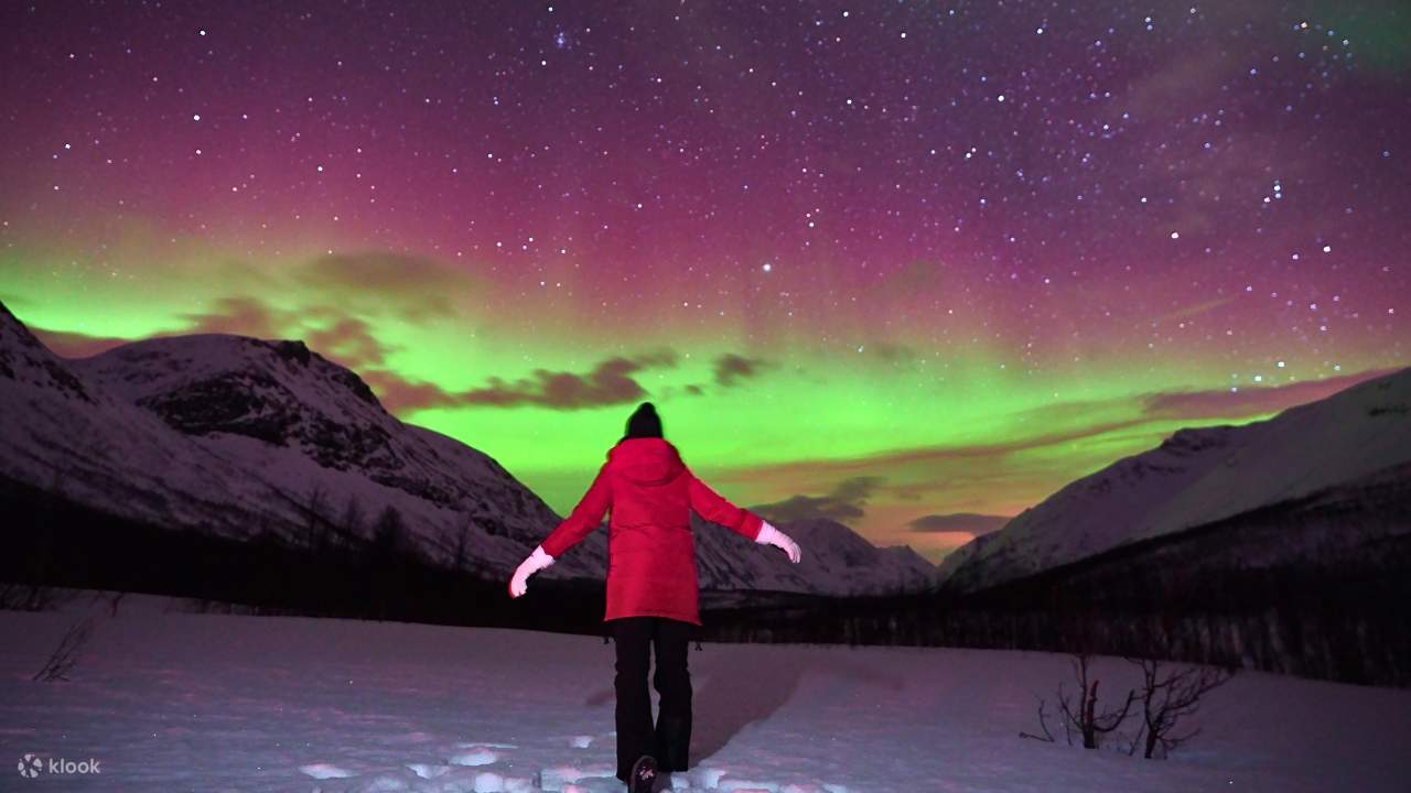 Aurora Northern lights Chase 8 Hours Tour (5 People MAX) + photos - Klook Hong Kong