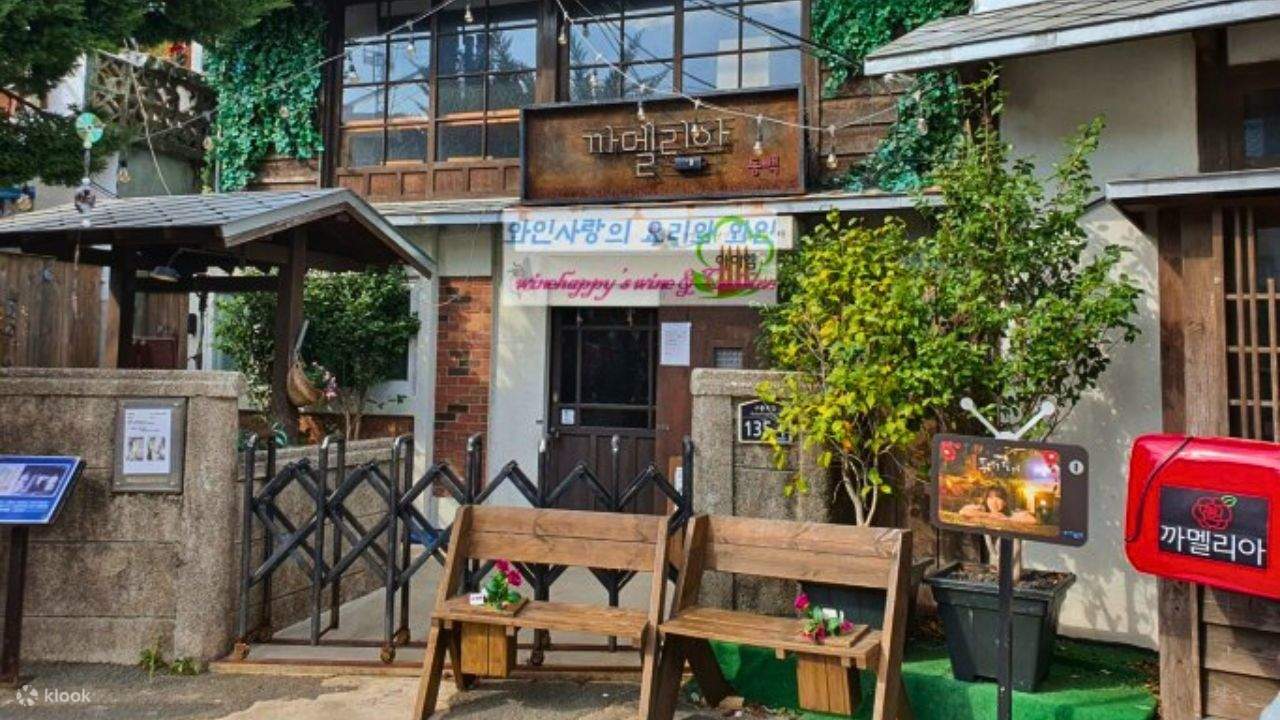 Pohang Space Walk x Flor de cerezo, Guryongpo, Flor de canola de ...