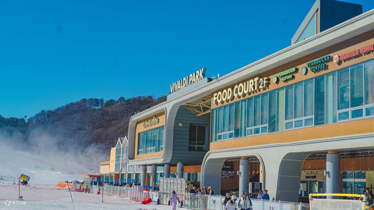 Hongcheon Daemyung Vivaldi Park 2 Days Tour from Seoul - Klook Philippines