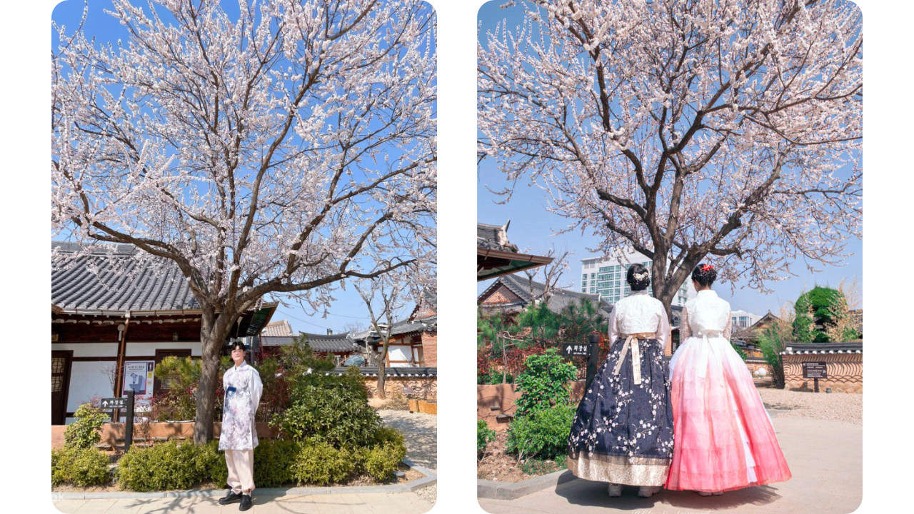 Jeonju Day Tour (From Seoul) - Klook Singapore