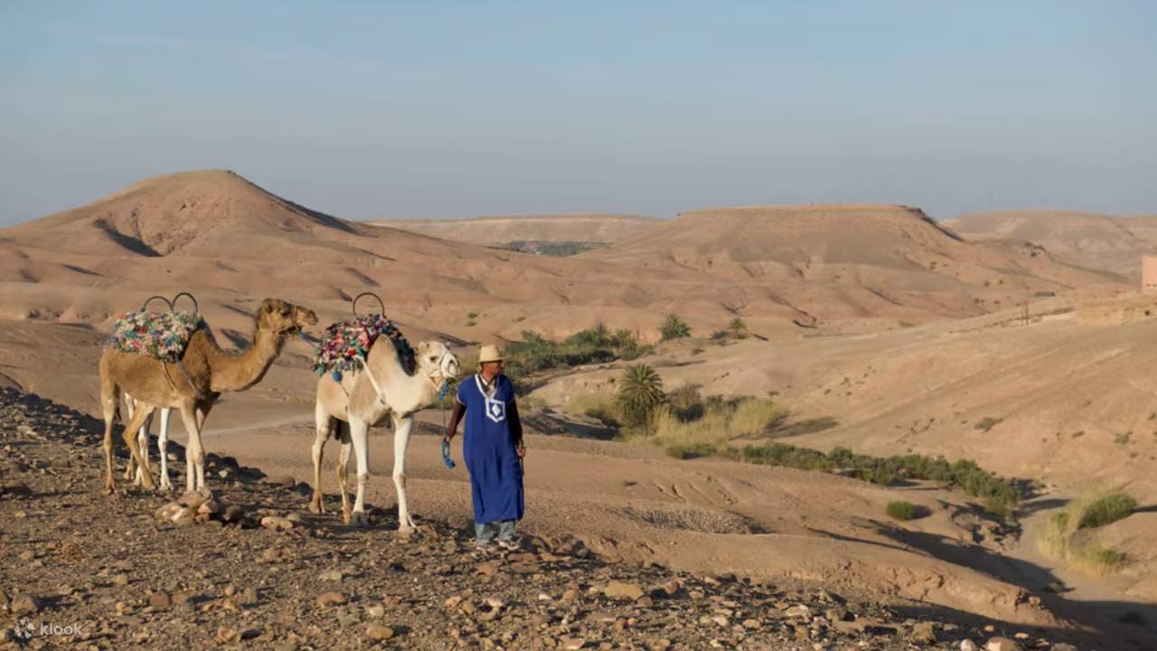 Agafay Desert: Camel Ride and Dinner Spectacle with Fire Show - Klook ...