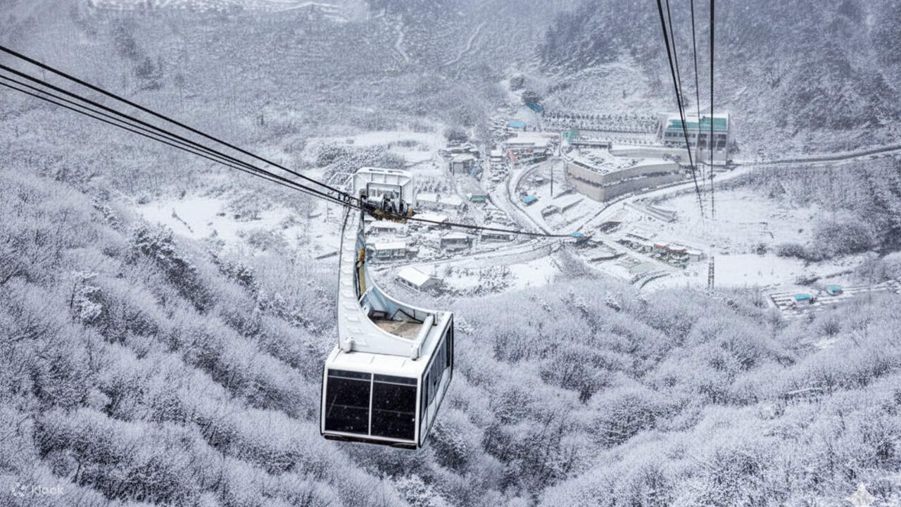 Busan: Snow Season Ice Valley Cable Car & UNESCO Spot Discovery Tour ...