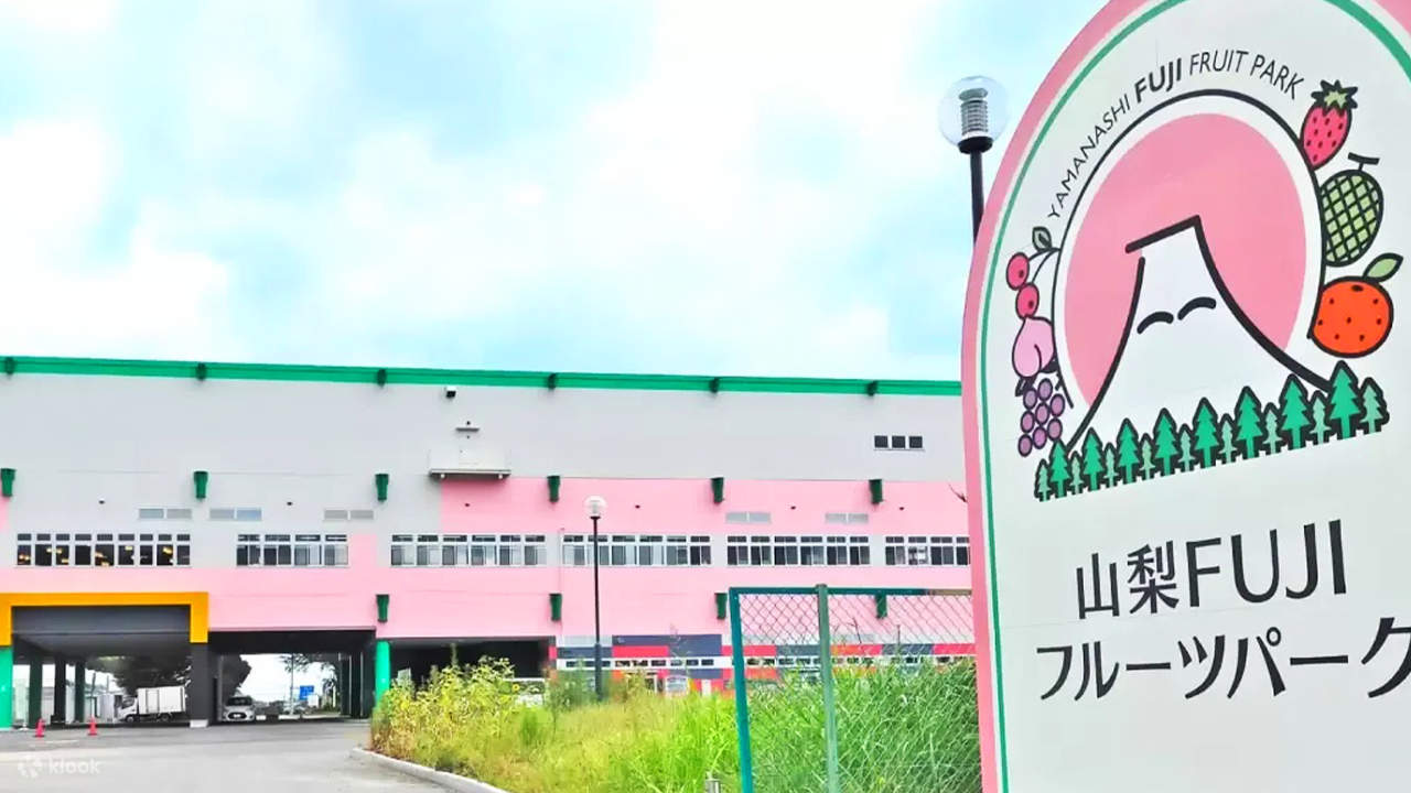 Mount Fuji Fruit Picking & Popular Sightseeing Train Day Trip | Mount ...