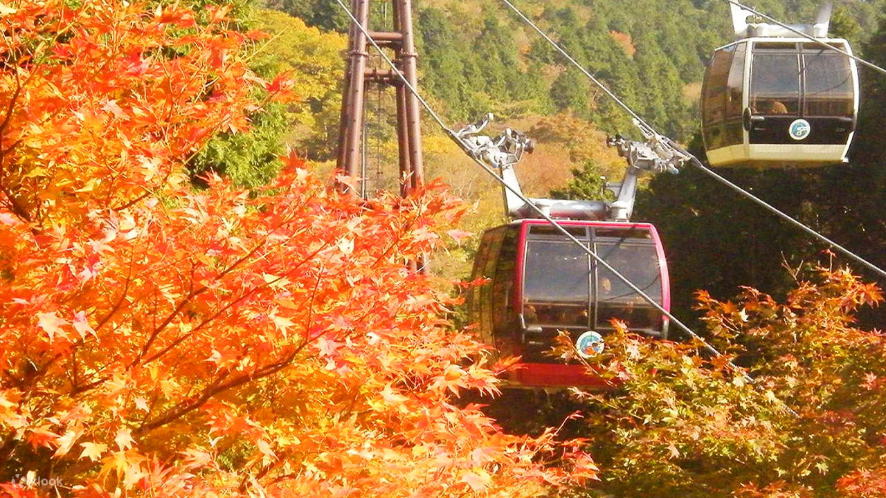 Mt. Fuji 5th Station & Hakone Owakudani & Ropeway + Pirate Ship Dual ...