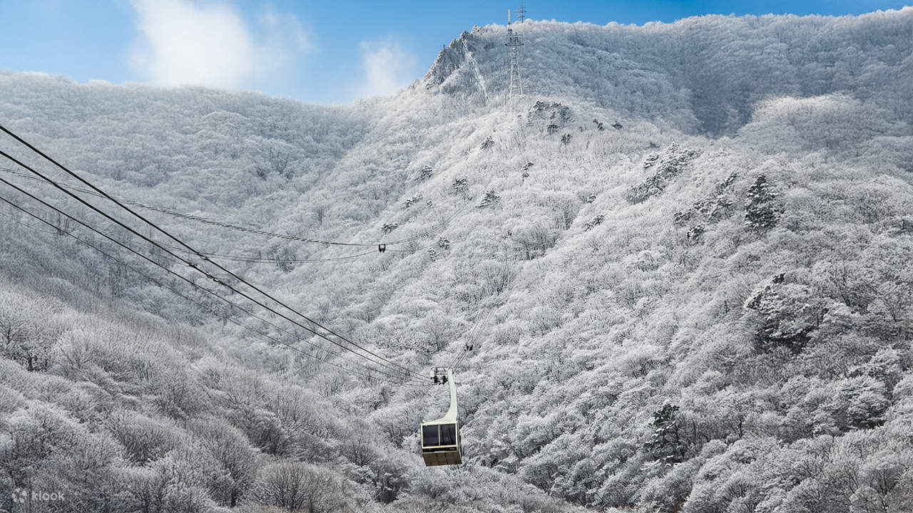 Busan: Snow Season Ice Valley Cable Car & UNESCO Spot Discovery Tour ...