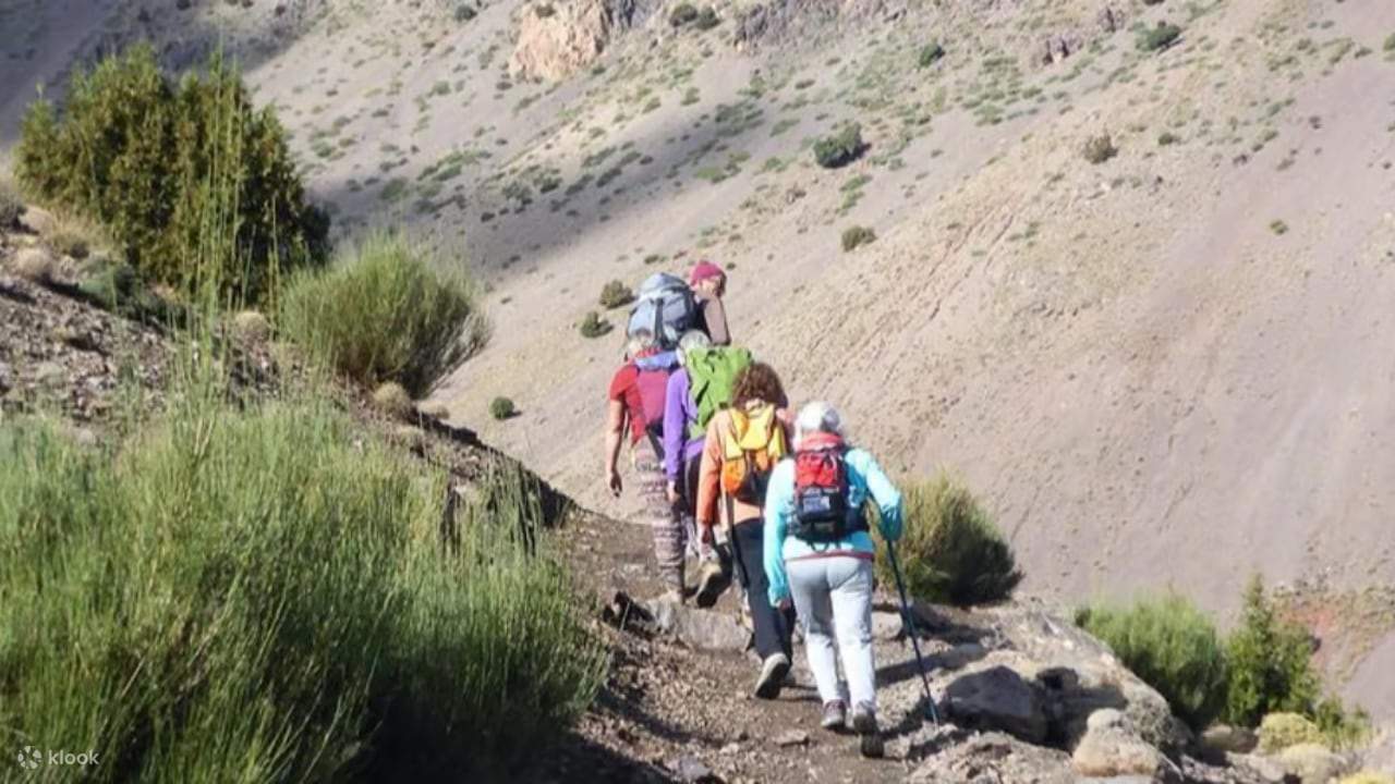 Marrakech: Day Hike to Talamrout, Top of the Atlas Mountains - Klook ...