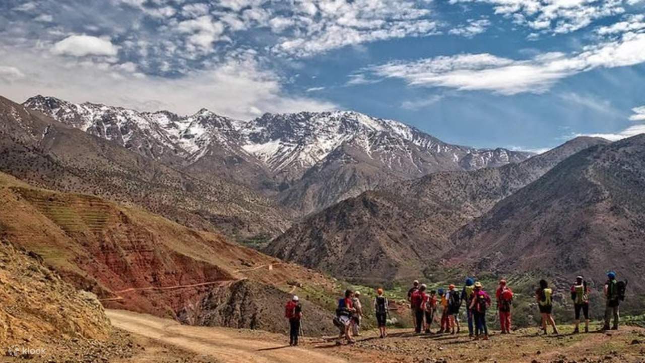 Marrakech: Escursione giornaliera a Talamrout, cima dei Monti Atlas ...