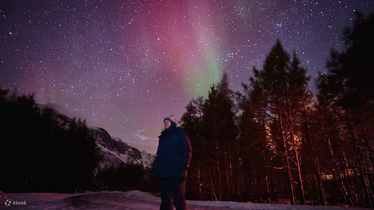 Aurora Northern lights Chase 8 Hours Tour (5 People MAX) + photos - Klook